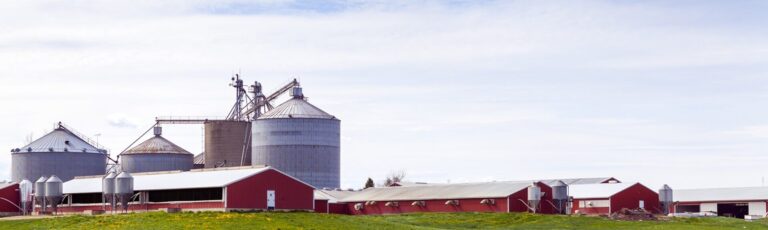 FortiCool™ A - Sterilex® - Food Safety and Biosecurity Products,