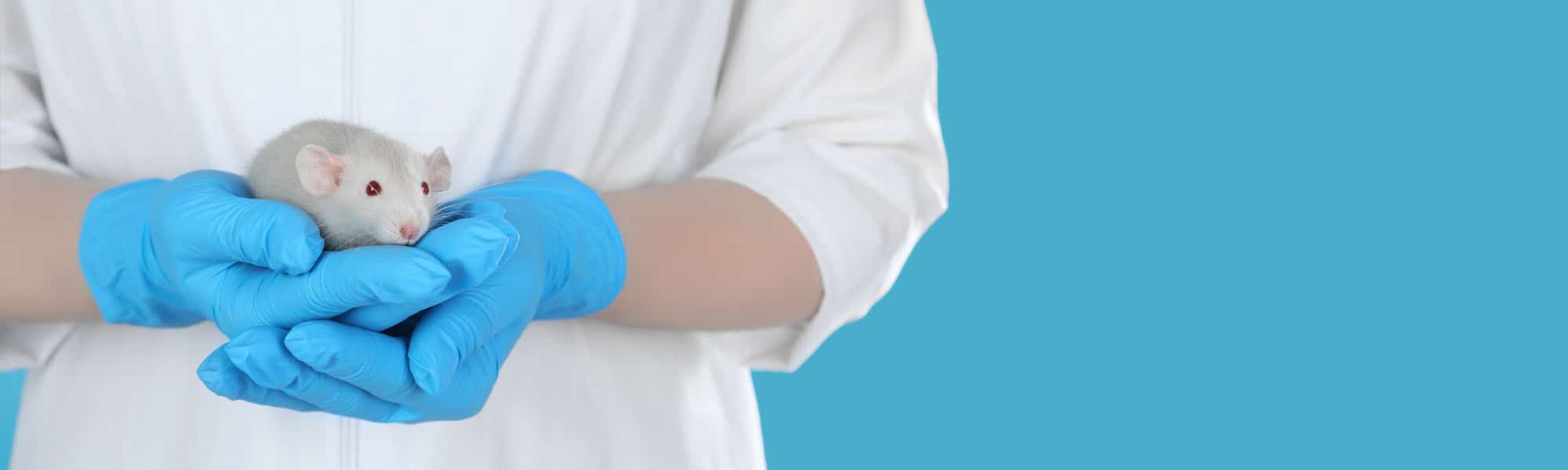 Ciencias de la vida - Sterilex® - Productos de seguridad alimentaria y ...